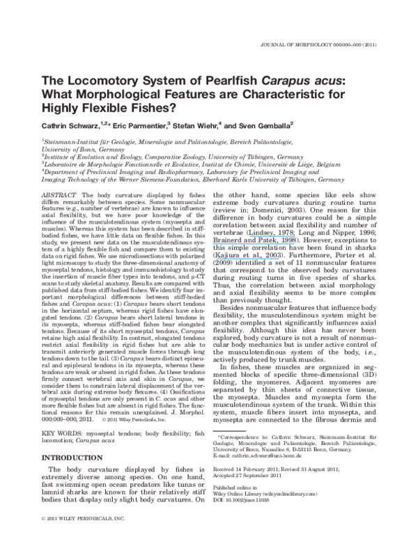 (PDF) The locomotory system of pearlfish Carapus acus: What ...