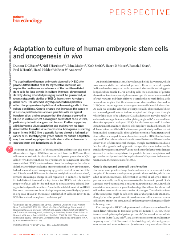 (PDF) Adaptation to culture of human embryonic stem cells and ...