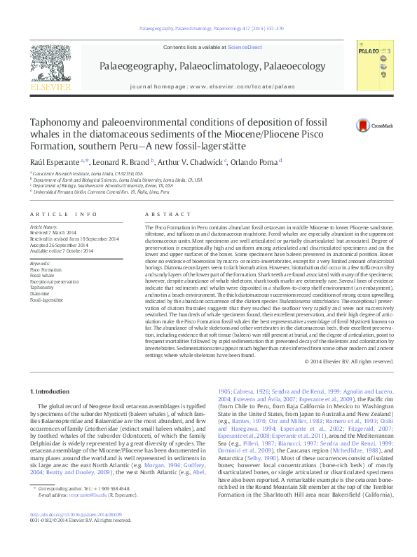 (PDF) Taphonomy and paleoenvironmental conditions of deposition of fossil whales in the ...