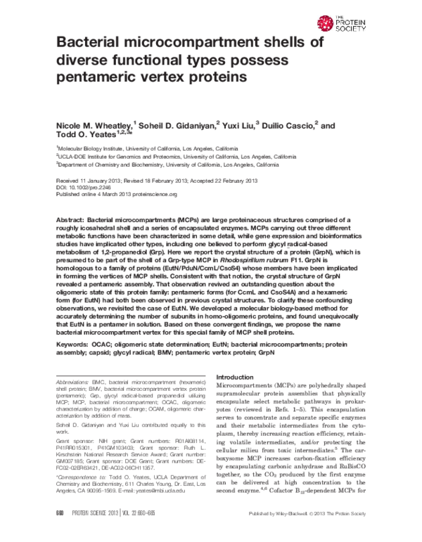 (PDF) Bacterial microcompartment shells of diverse functional types ...