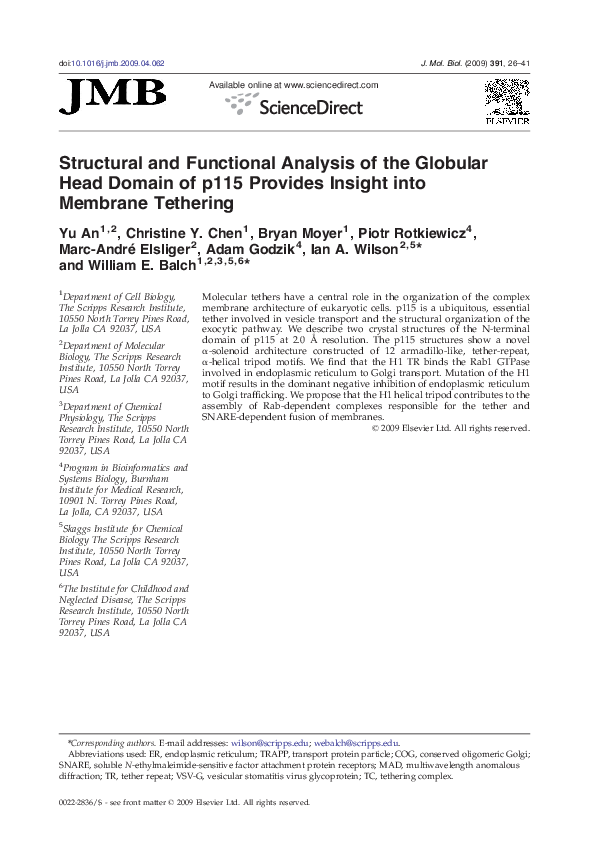 (PDF) Structural and Functional Analysis of the Globular Head Domain of ...