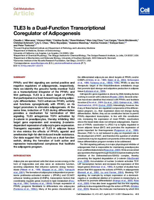 (PDF) TLE3: A Coregulator of Adipogenesis via PPARg and Wnt Pathways