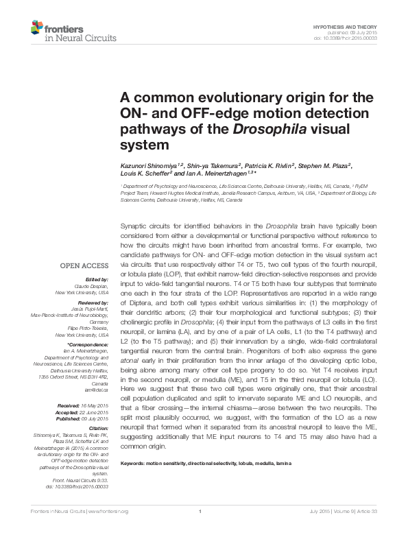 (PDF) A common evolutionary origin for the ON- and OFF-edge motion ...
