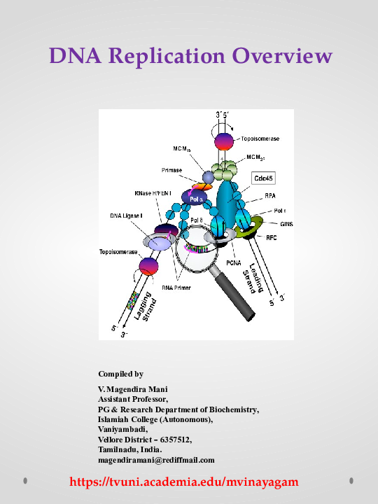 (PPT) Overview of DNA Replication (Prokaryotic Eukaryotic)