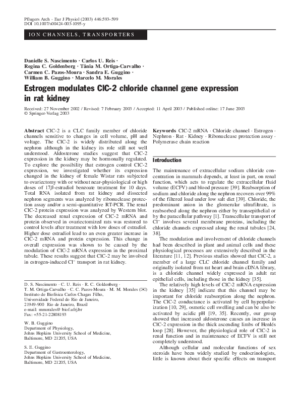 (PDF) Estrogen modulates ClC2 chloride channel gene expression in rat ...