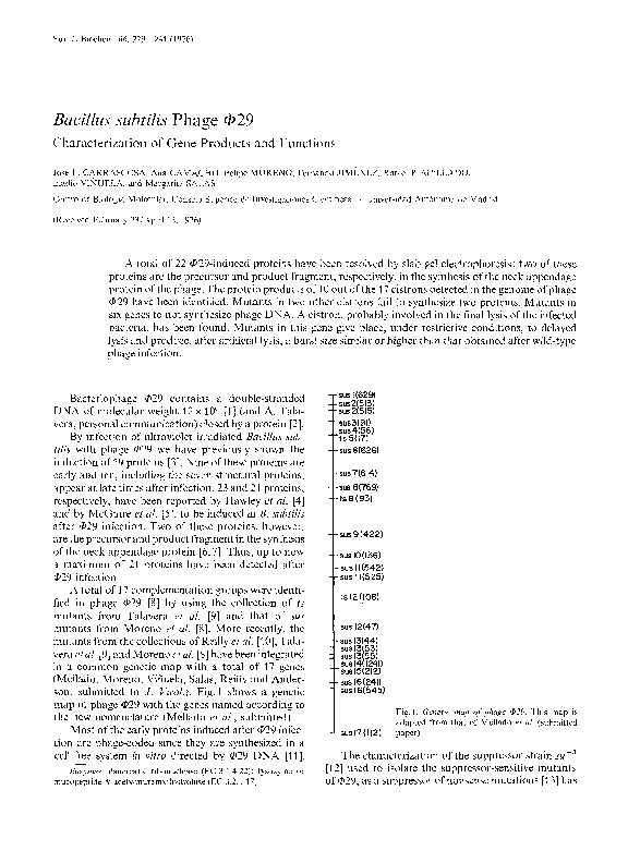 (PDF) Bacillus subtilis Phage phi 29 Characterization of Gene Products ...