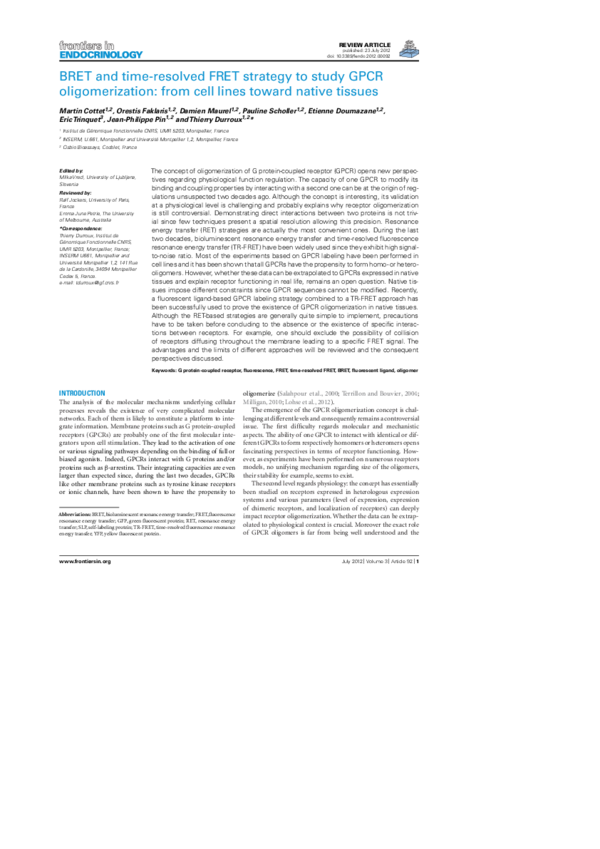 (PDF) BRET and Time-resolved FRET strategy to study GPCR ...