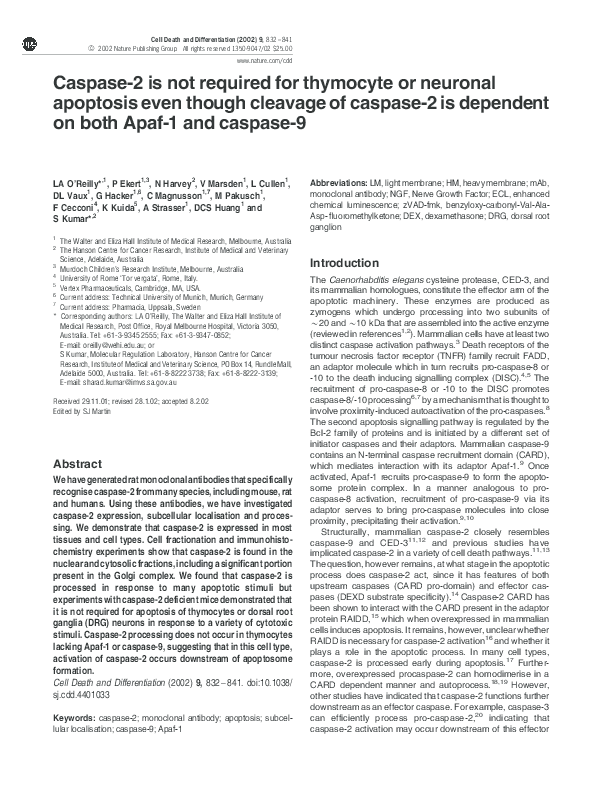 (PDF) Caspase2 is not required for thymocyte or neuronal apoptosis even ...