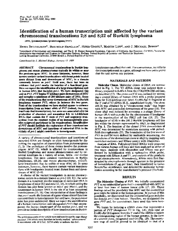 (PDF) Identification of a Human Transcription Unit Affected by the ...