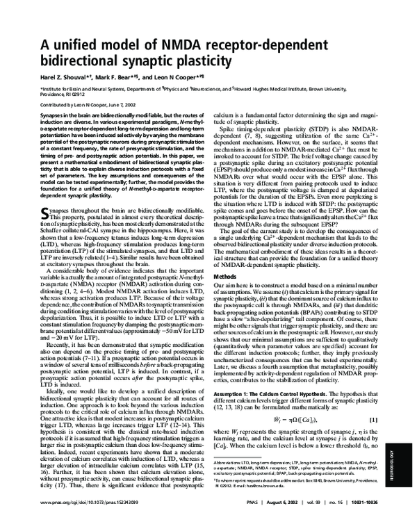 (PDF) A unified model of NMDA receptor-dependent bidirectional synaptic ...