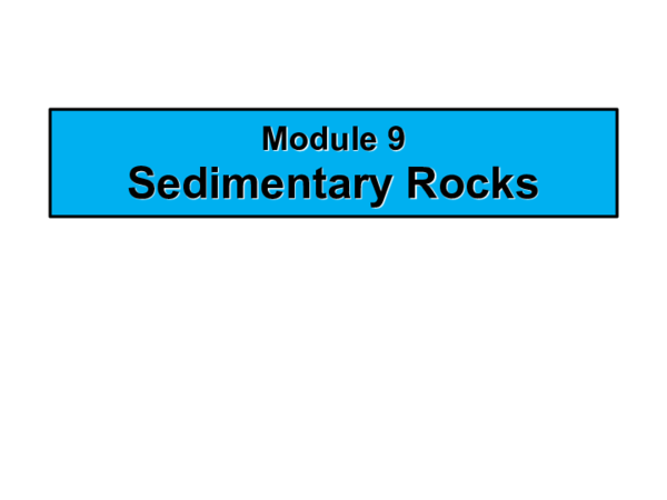 (PDF) Module 9 Sedimentary Rocks