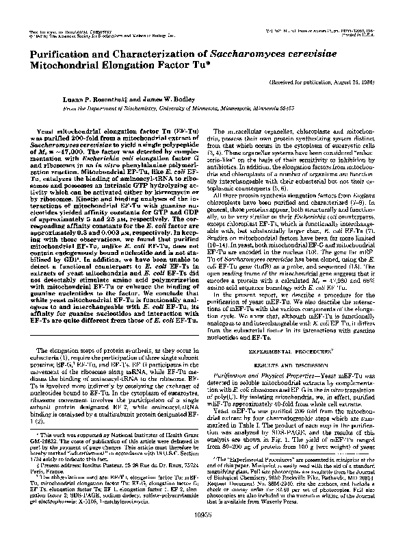 (PDF) Purification and characterization of the Saccharomyces cerevisiae RAD1/RAD10 endonuclease