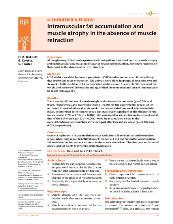(PDF) Intramuscular fat accumulation and muscle atrophy in the absence ...