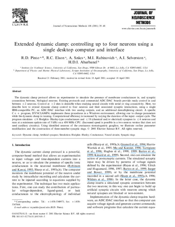 (PDF) Extended dynamic clamp: controlling up to four neurons using a ...