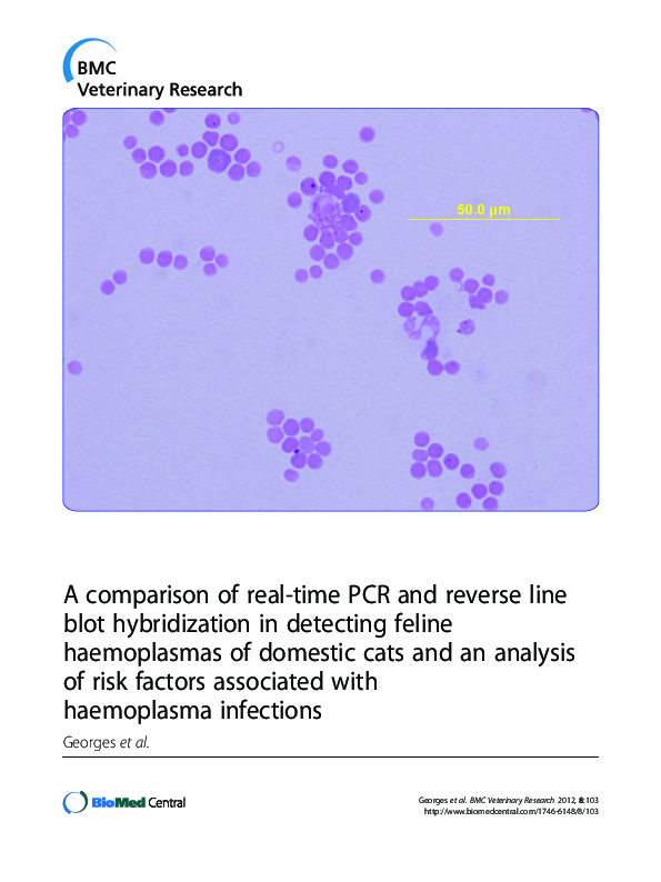(PDF) A comparison of real-time PCR and reverse line blot hybridization ...