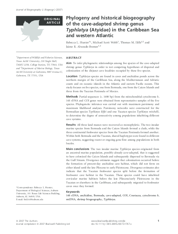 (PDF) Phylogeny and historical biogeography of the cave-adapted shrimp ...