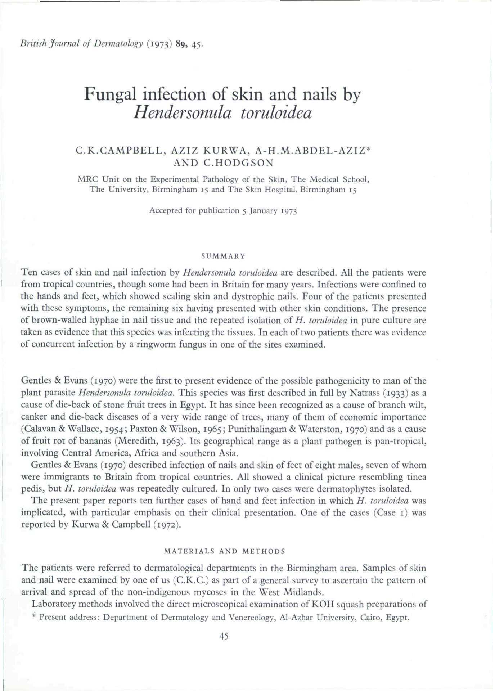 (PDF) Fungal infection of skin and nails by Hendersonula toruloidea