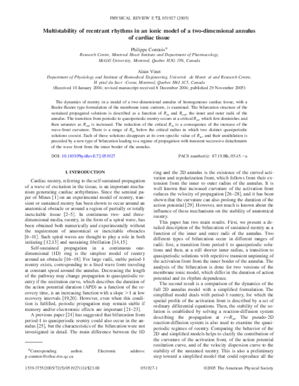 (PDF) Multistability of reentrant rhythms in an ionic model of a two ...