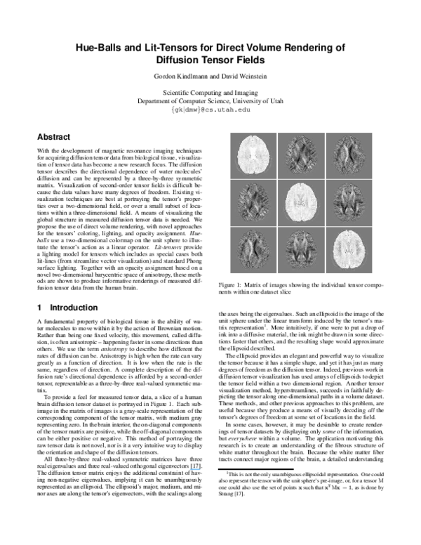 (PDF) Hue-balls and lit-tensors for direct volume rendering of diffusion tensor fields
