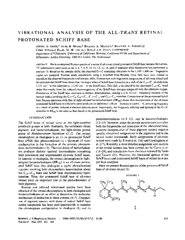 (PDF) Vibrational analysis of the all-trans retinal protonated Schiff base