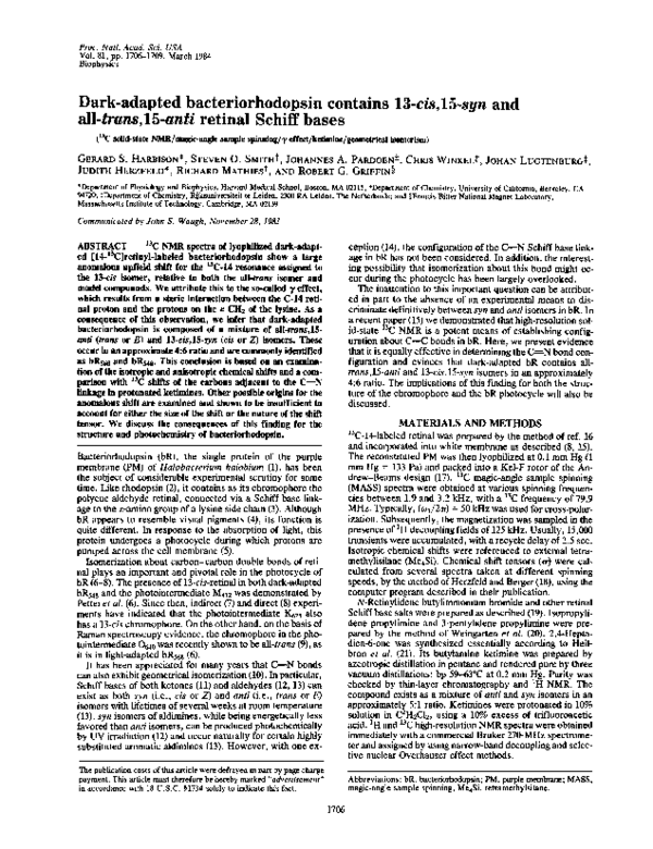 (PDF) Dark-adapted bacteriorhodopsin contains 13-cis, 15-syn and all ...
