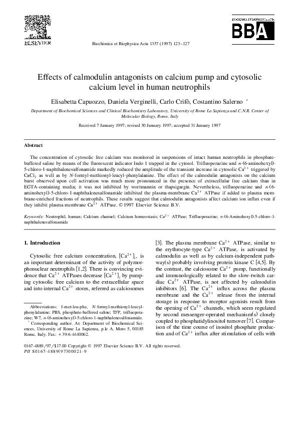 (PDF) Effects of calmodulin antagonists on calcium pump and cytosolic ...