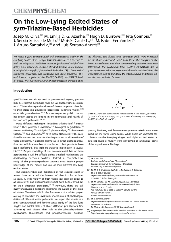 On the low-lying excited states of sym-triazine-based herbicides