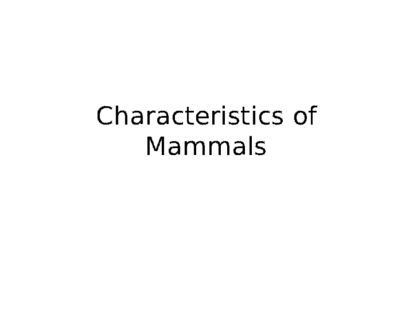 (PPT) Characteristics+of+Mammals