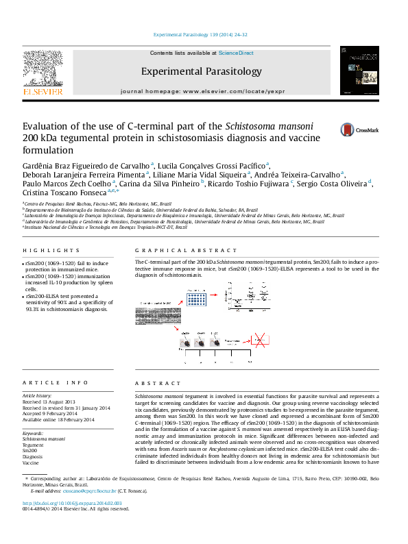 (PDF) Modeling the zing finger protein SmZF1 from Schistosoma mansoni ...