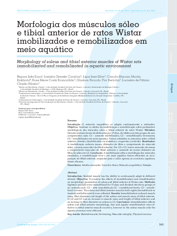 (PDF) Morfologia dos músculos sóleo e tibial anterior de ratos Wistar ...