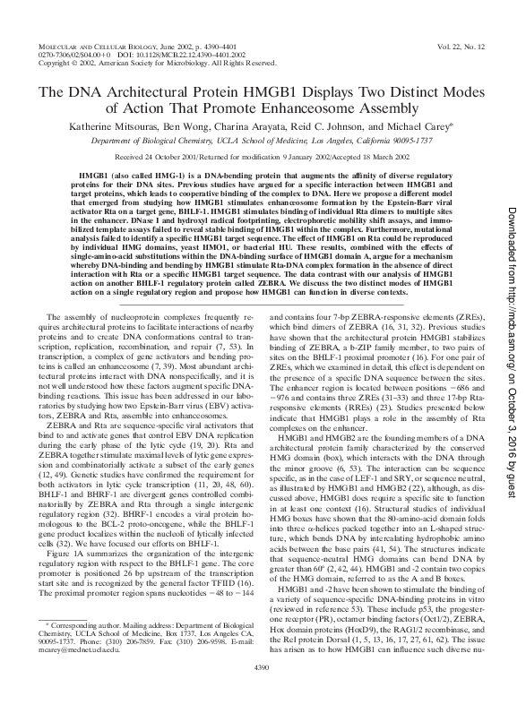 (PDF) The DNA Architectural Protein HMGB1 Displays Two Distinct Modes of Action That Promote ...