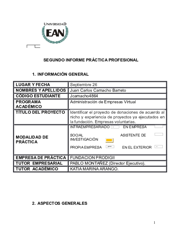 (DOC) segundo informe práctica profesional