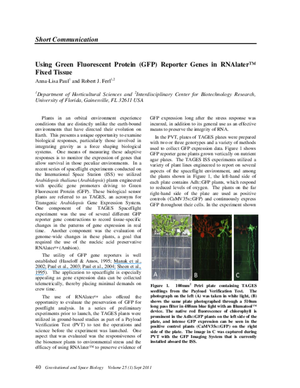 (PDF) Using Green Fluorescent Protein (GFP) Reporter Genes in RNAlater ...