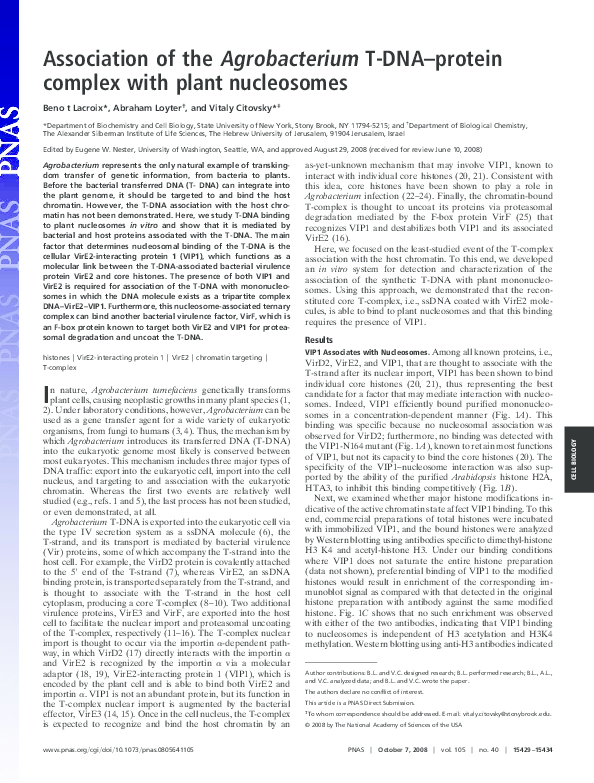 (PDF) Association of the Agrobacterium T-DNA-protein complex with plant ...