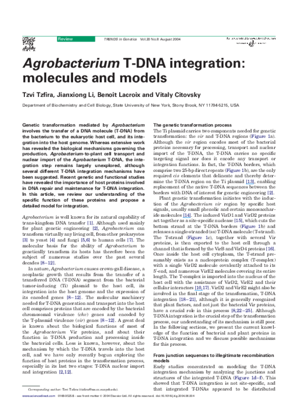 (PDF) Agrobacterium T-DNA integration: molecules and models