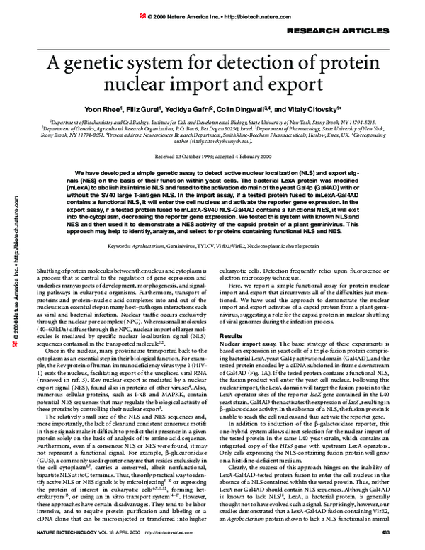 (PDF) A genetic system for detection of protein nuclear import and export