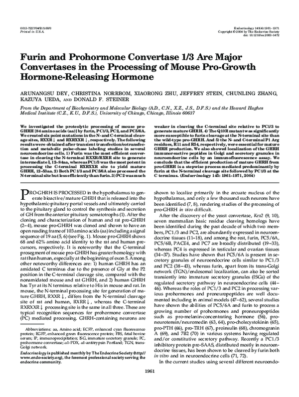 (PDF) Furin and Prohormone Convertase 1/3 Are Major Convertases in the ...