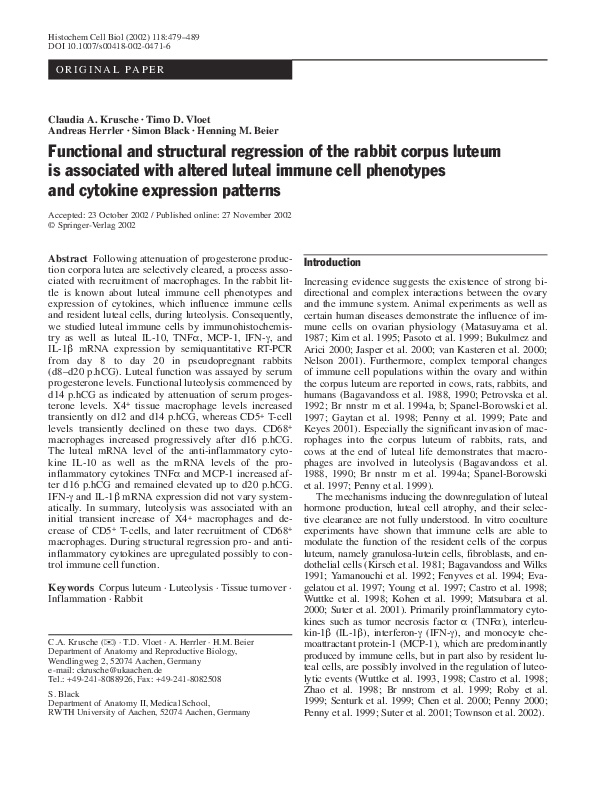 (PDF) Functional and structural regression of the rabbit corpus luteum ...