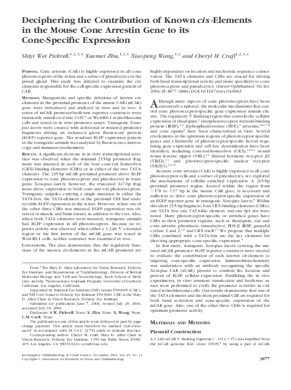 (PDF) Deciphering the Contribution of Known cis-Elements in the Mouse ...