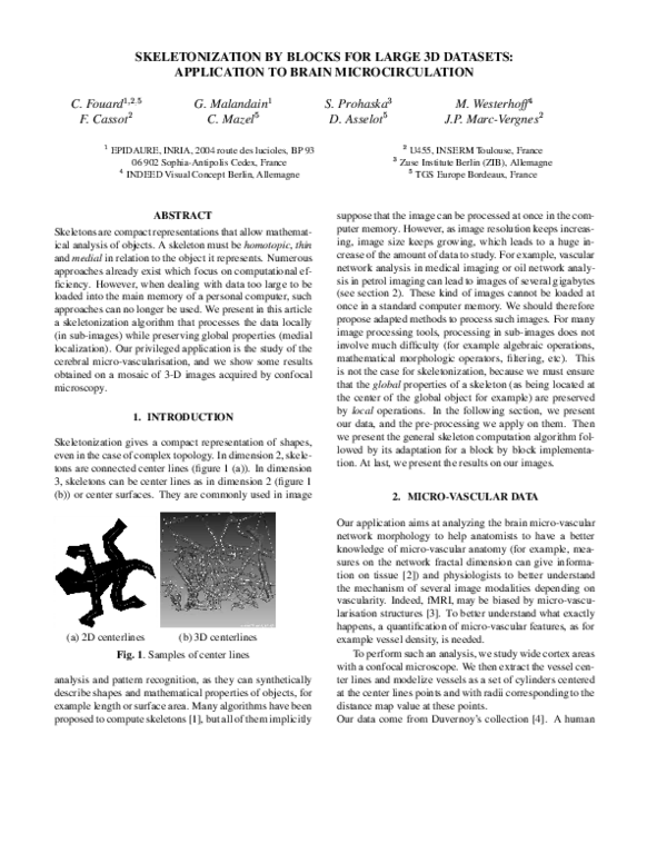 Pdf Skeletonization By Blocks For Large 3d Datasets Application To