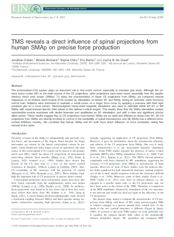 (PDF) TMS reveals a direct influence of spinal projections from human ...