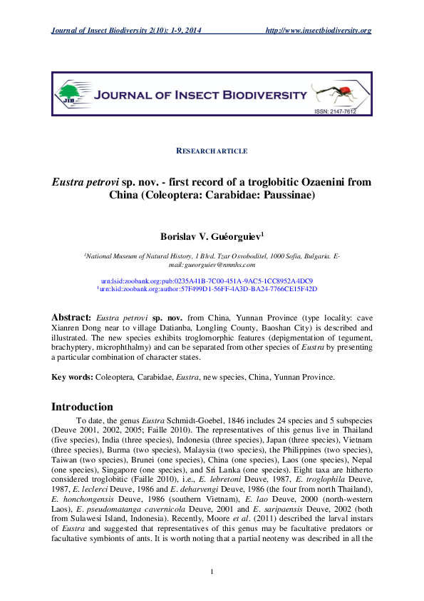 (PDF) Eustra petrovi sp. nov. - first record of a troglobitic Ozaenini ...