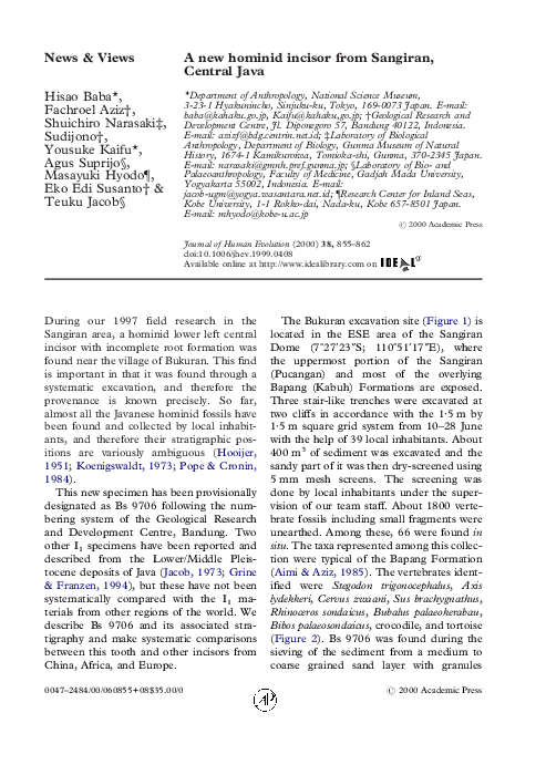 (PDF) A new hominid incisor from Sangiran, Central Java