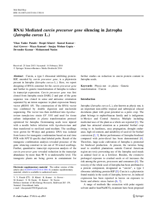 (PDF) RNAi Mediated curcin precursor gene silencing in Jatropha ...