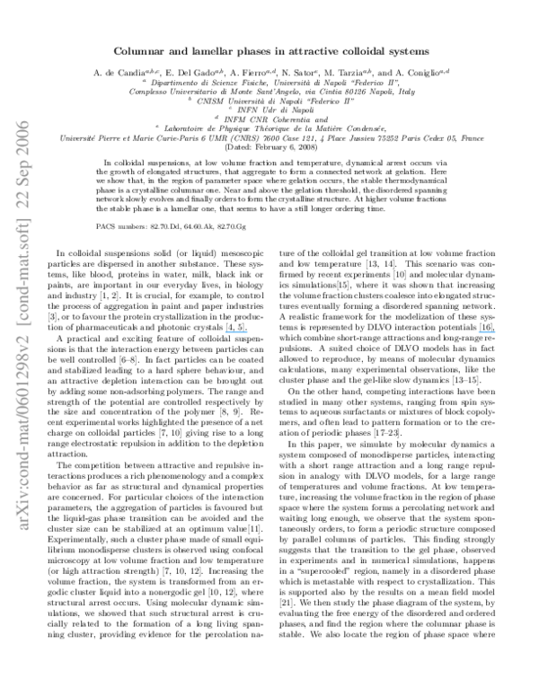 (PDF) Columnar and lamellar phases in attractive colloidal systems