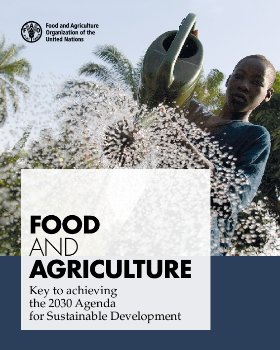 (PDF) FOOD AND AGRICULTURE Key to achieving the 2030 Agenda for ...