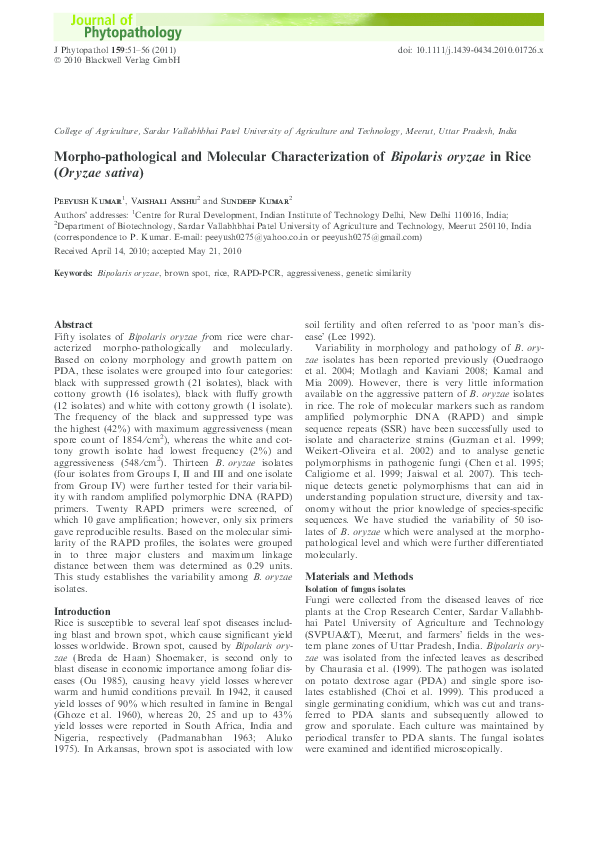 (PDF) Morpho-pathological and Molecular Characterization of Bipolaris oryzae in Rice (Oryzae ...