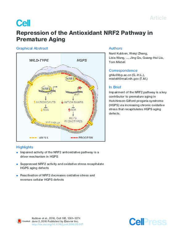 (PDF) Repression of the Antioxidant NRF2 Pathway in Premature Aging