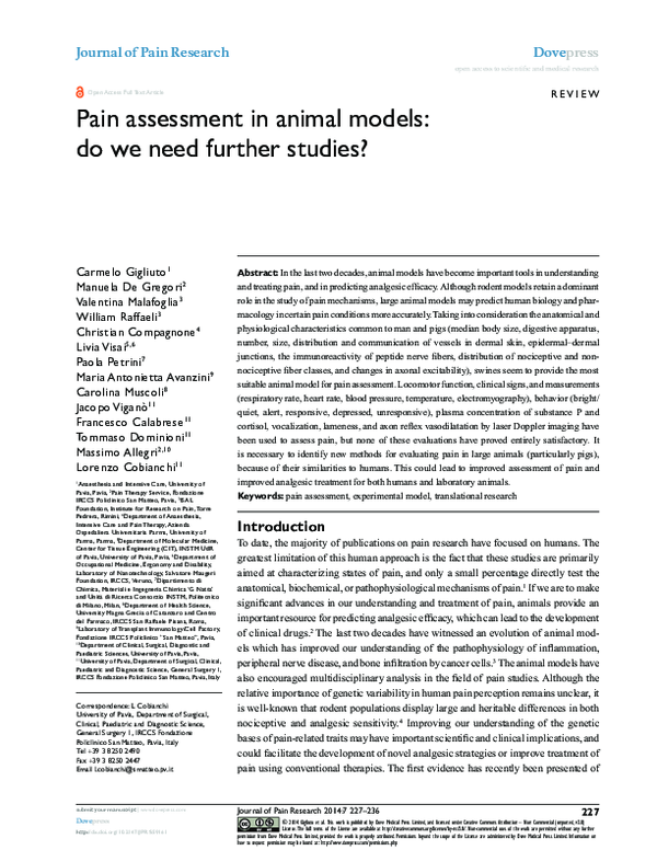 (PDF) Pain assessment in animal models: do we need further studies?