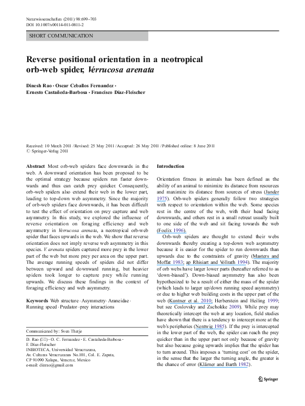 (PDF) Reverse positional orientation in a neotropical orb-web spider ...
